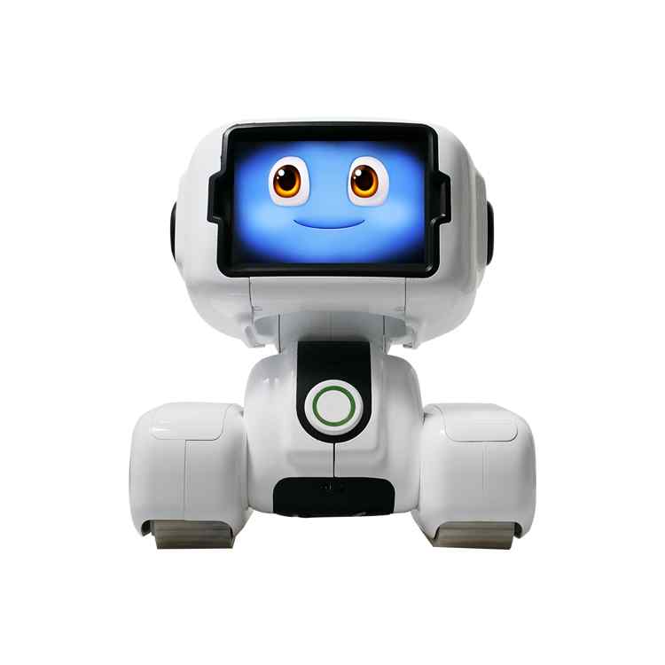 PadBot Robotics | Smart Commercial Robots for Security & Service